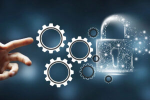 Riskinsight – Consulting